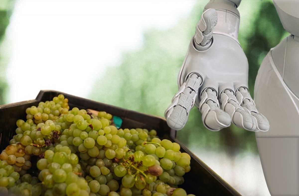 Exhibitor Information For 2022 Future Drinks Expo