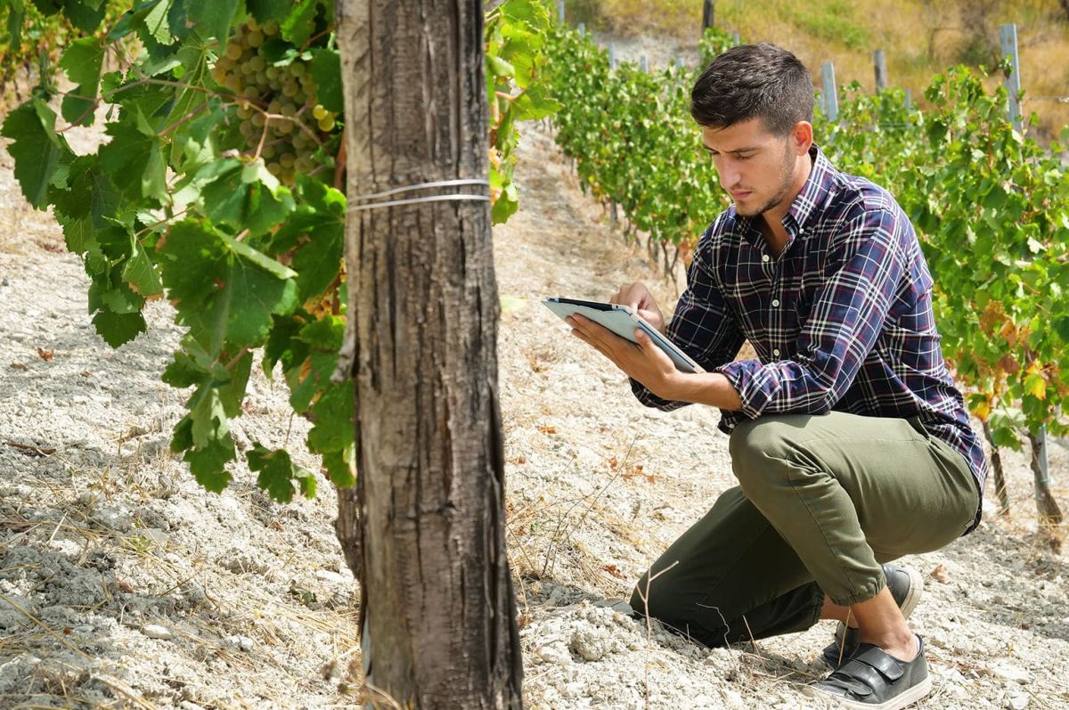 Top 10 Vineyard Management Software